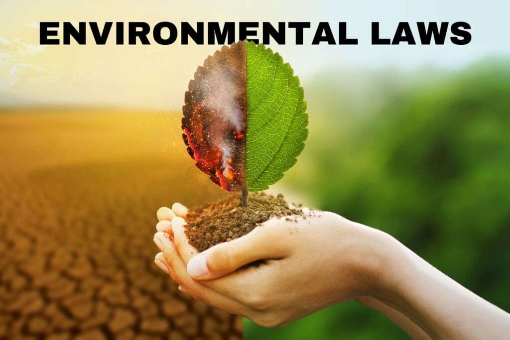 Why Environmental Laws Are Not Working in India? - Amicus Publico